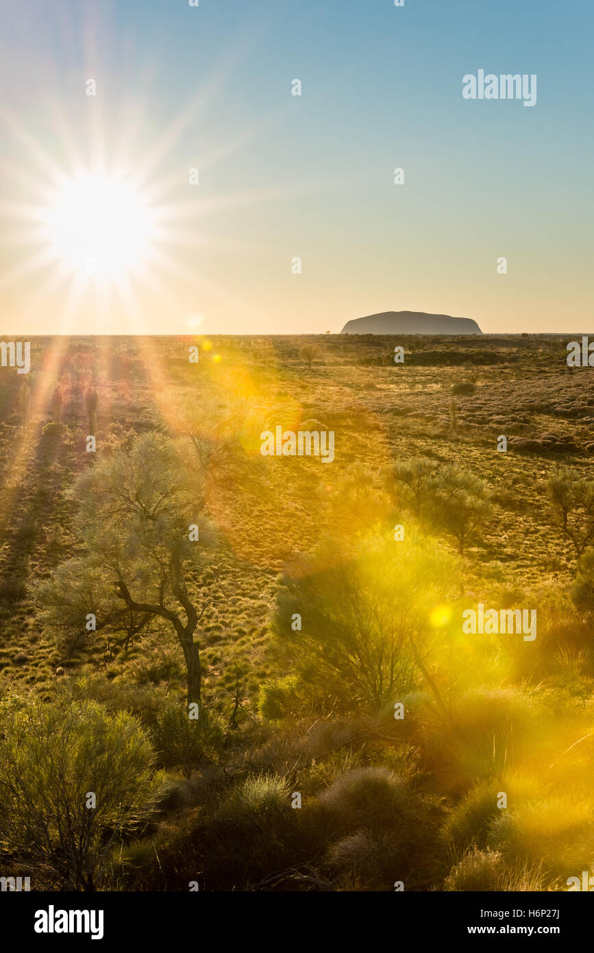 Sunrise at Uluru with clear sky and sun flare Stock Photo - Alamy