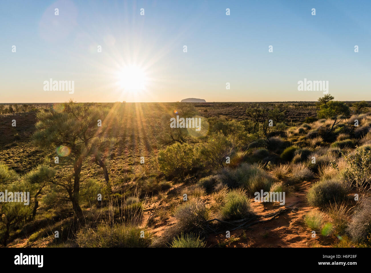 Sunrise at Uluru with clear sky and sun flare Stock Photo - Alamy
