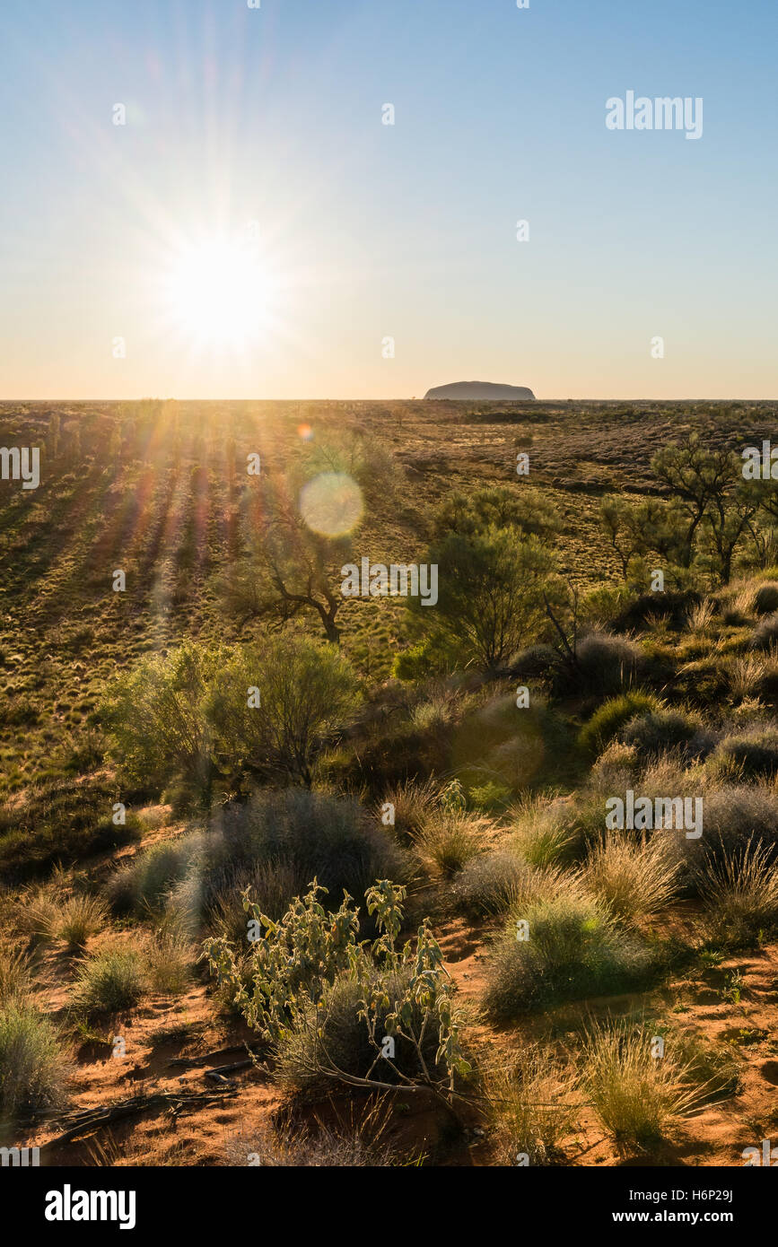 Sunrise at Uluru with clear sky and sun flare Stock Photo - Alamy