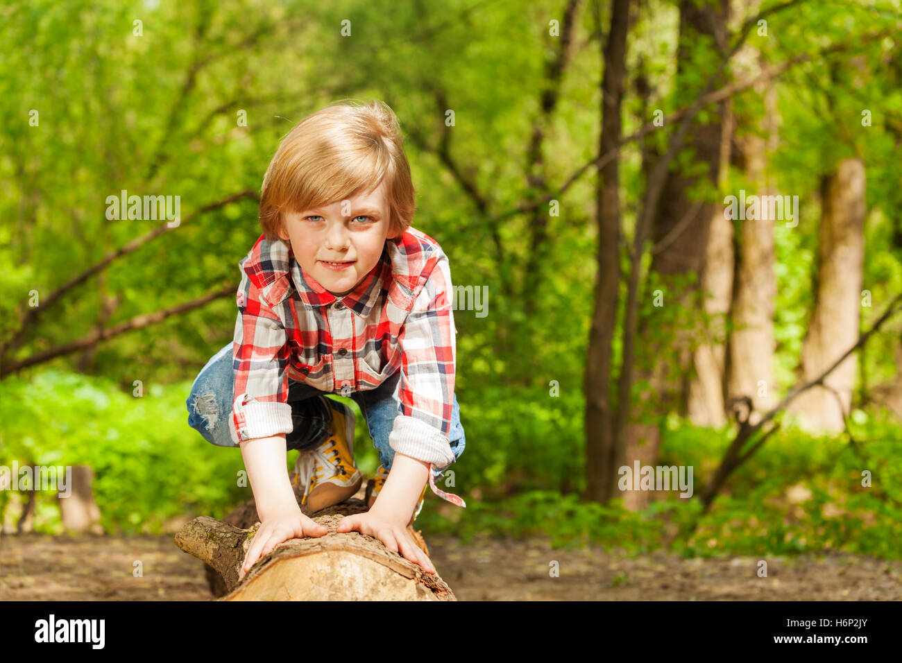 Portrait of blond young boy standing on a log Stock Photo - Alamy