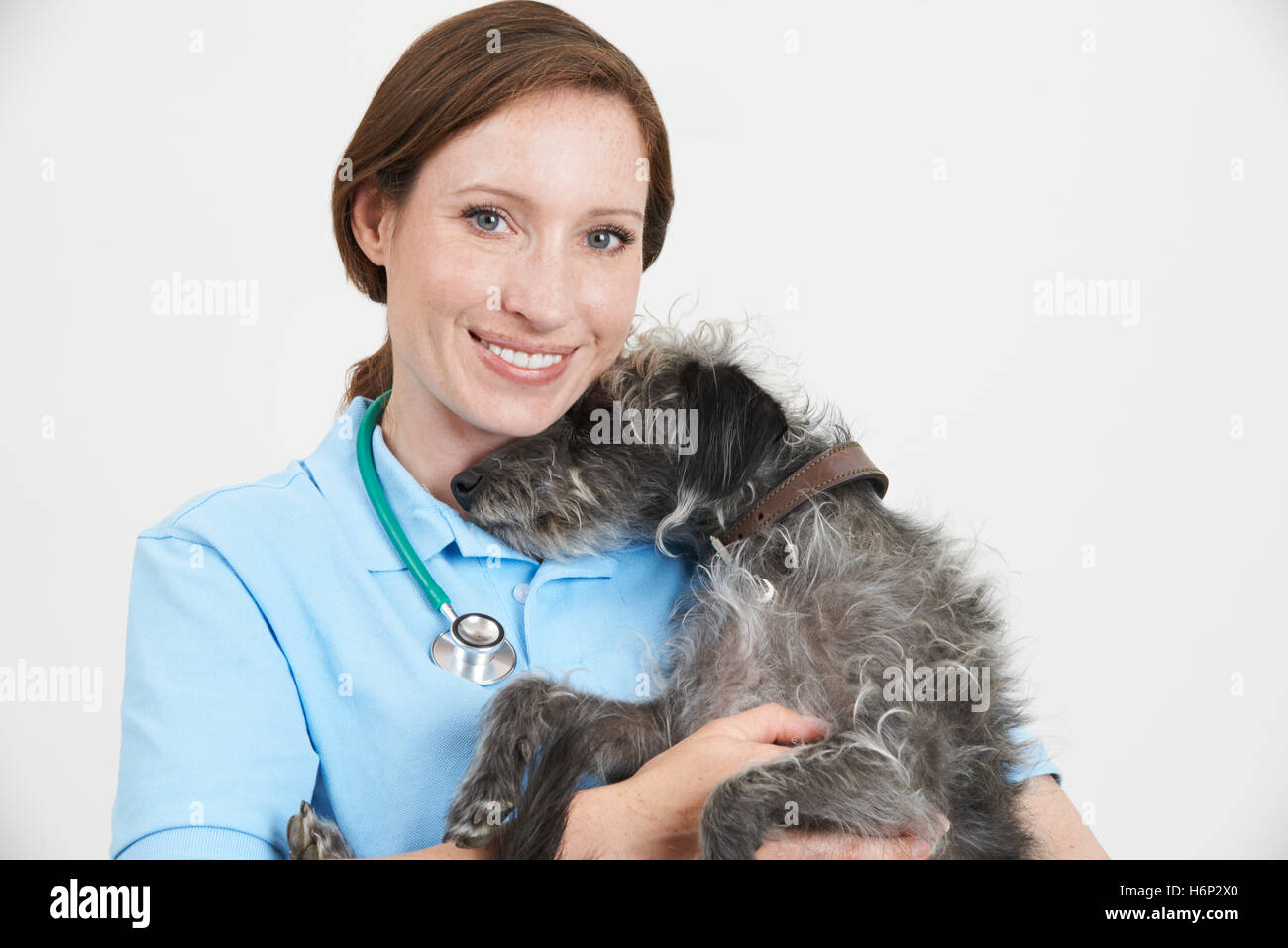 Veterinary surgeon hi-res stock photography and images - Alamy