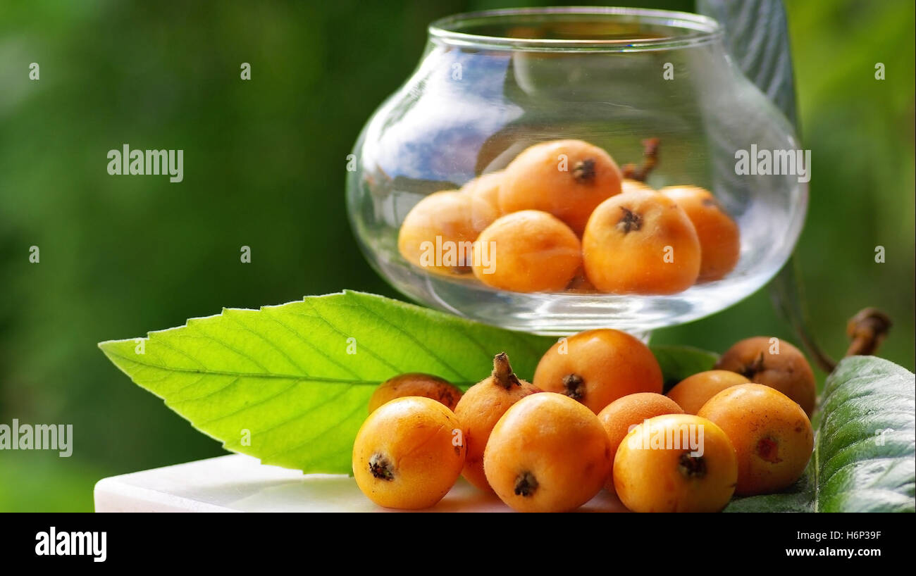 Nispero fruit hi-res stock photography and images - Alamy