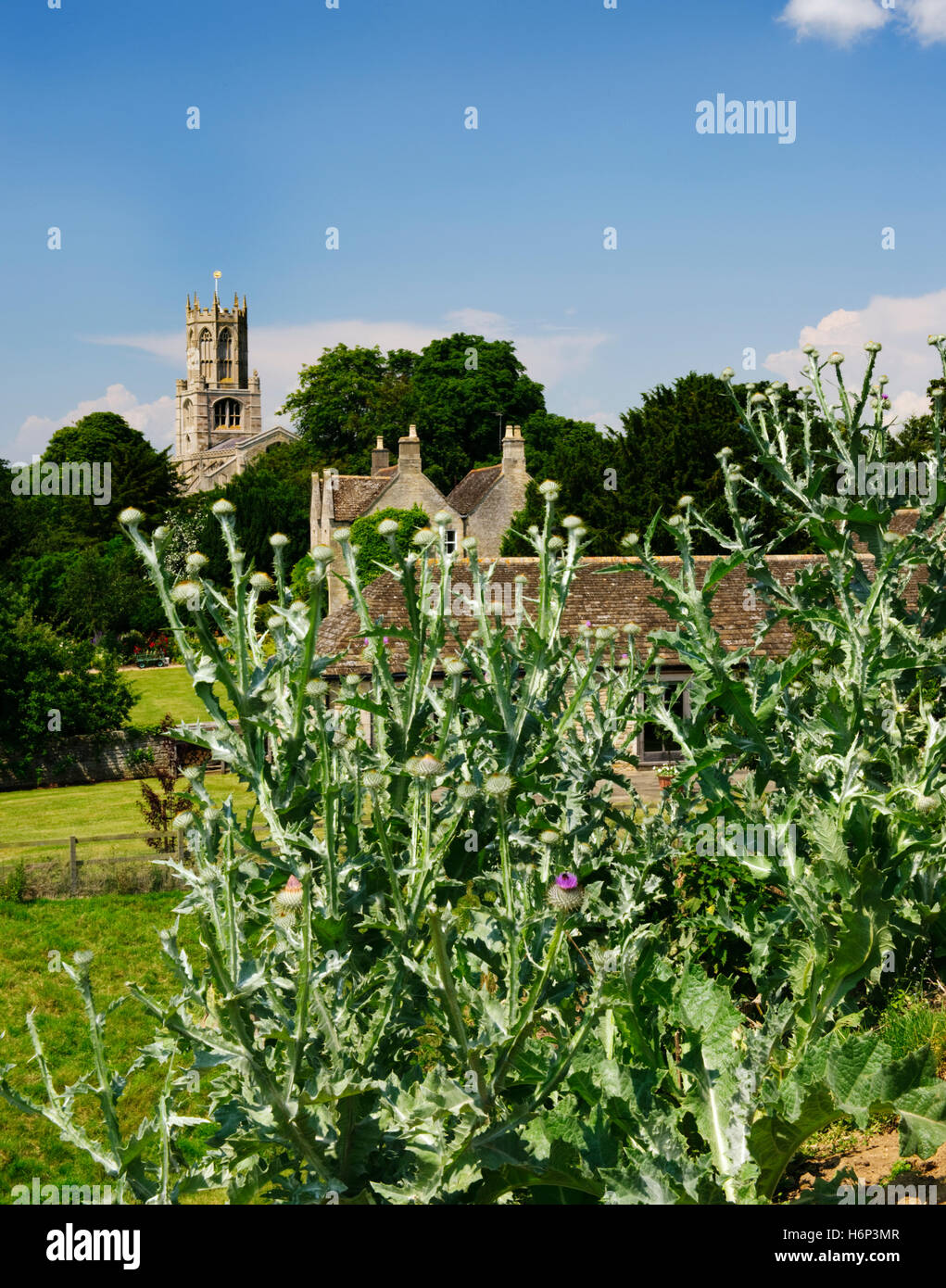 Fotheringhay C15th church, Northamptonshire, seen from the castle motte ...
