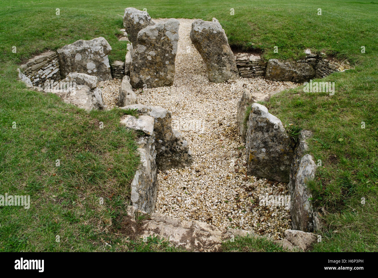 Lateral chamber hi-res stock photography and images - Alamy