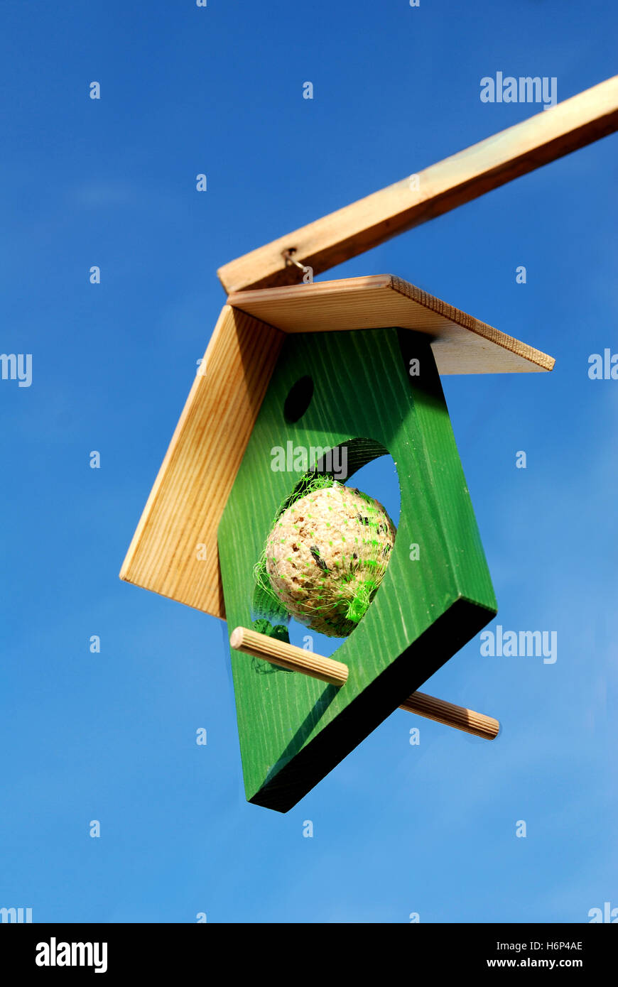 Fodder house birds hi-res stock photography and images - Alamy