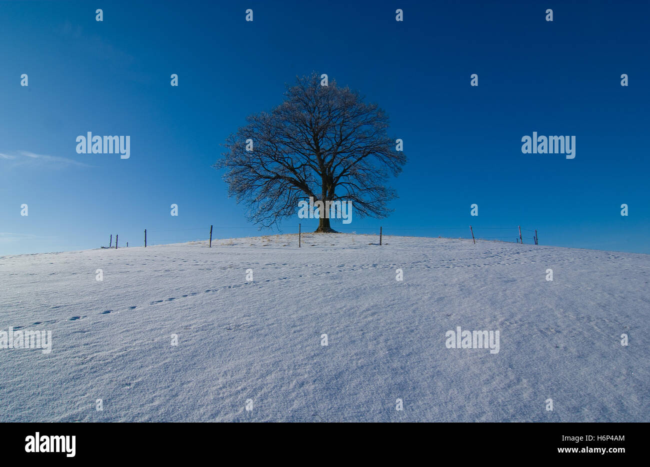 Moody fall landscapes hi-res stock photography and images - Alamy