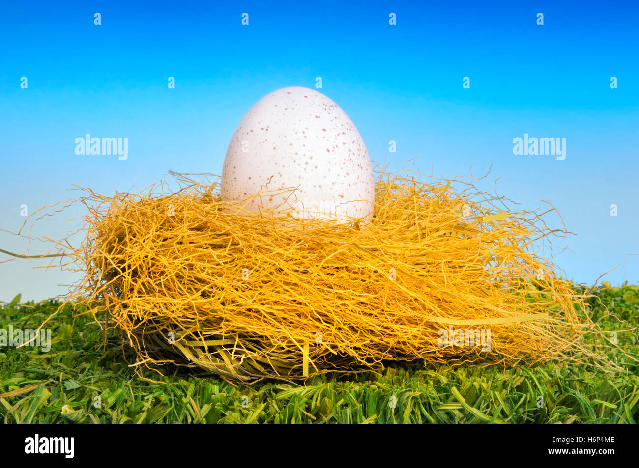 egg in nest Stock Photo - Alamy