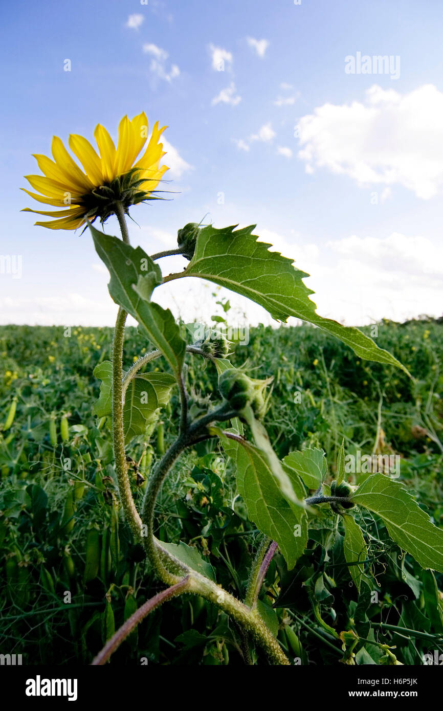 reach big large enormous extreme powerful imposing immense relevant ...