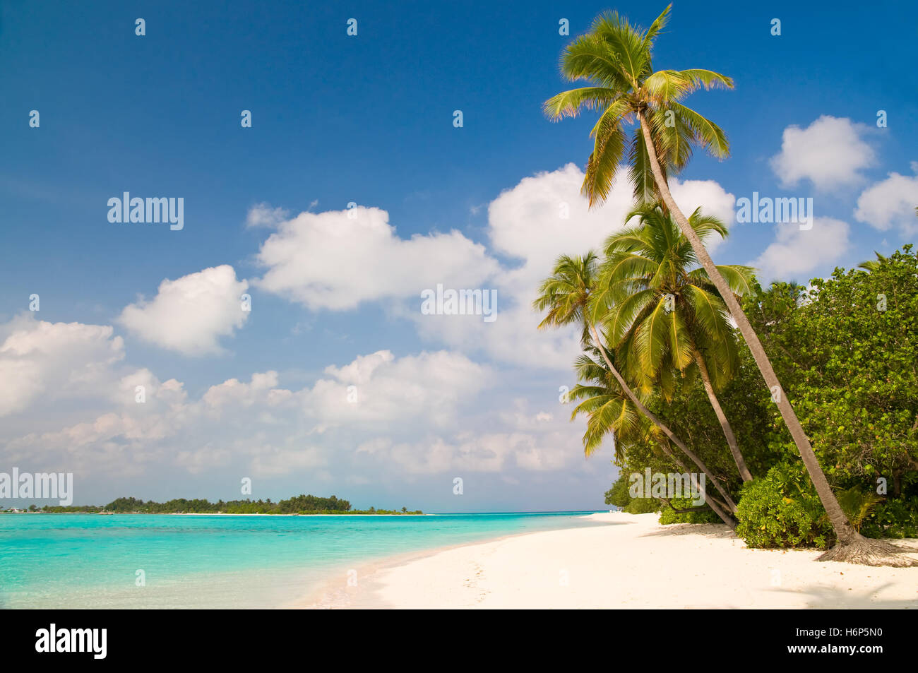 Europe tropical hi-res stock photography and images - Alamy