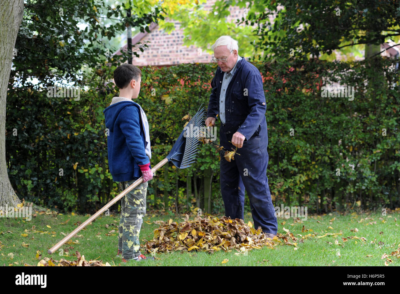 Raking Money Stock Photos & Raking Money Stock Images - Alamy