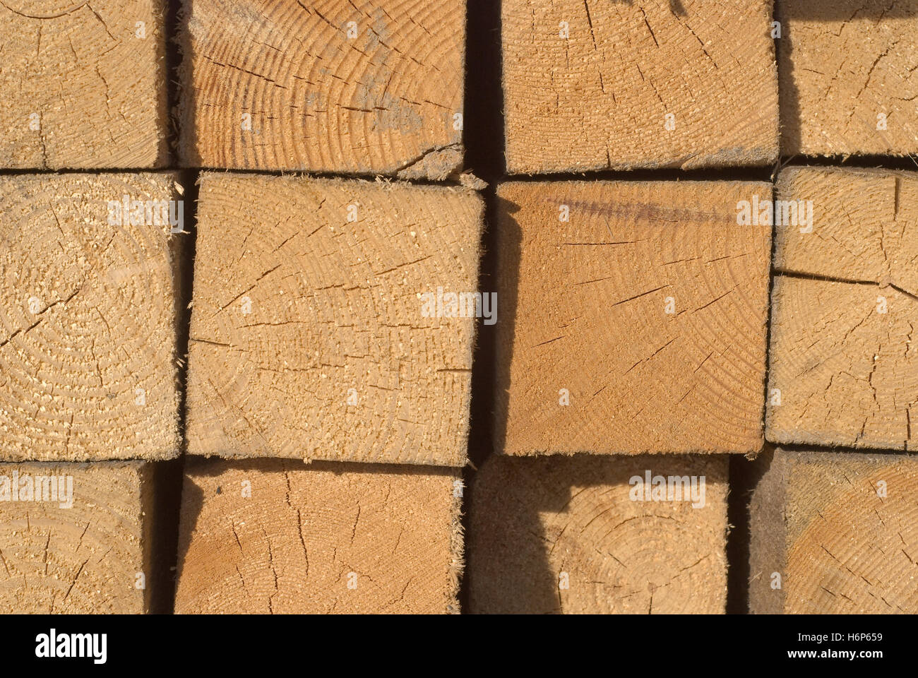 Deforestation Tools High Resolution Stock Photography and Images - Alamy