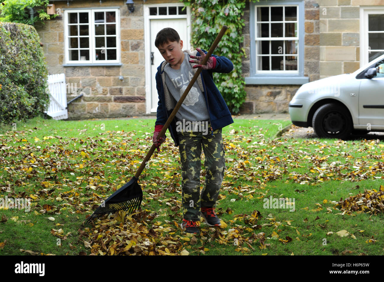 Grand cleaning up leaves with grandfather Stock Photo - Alamy