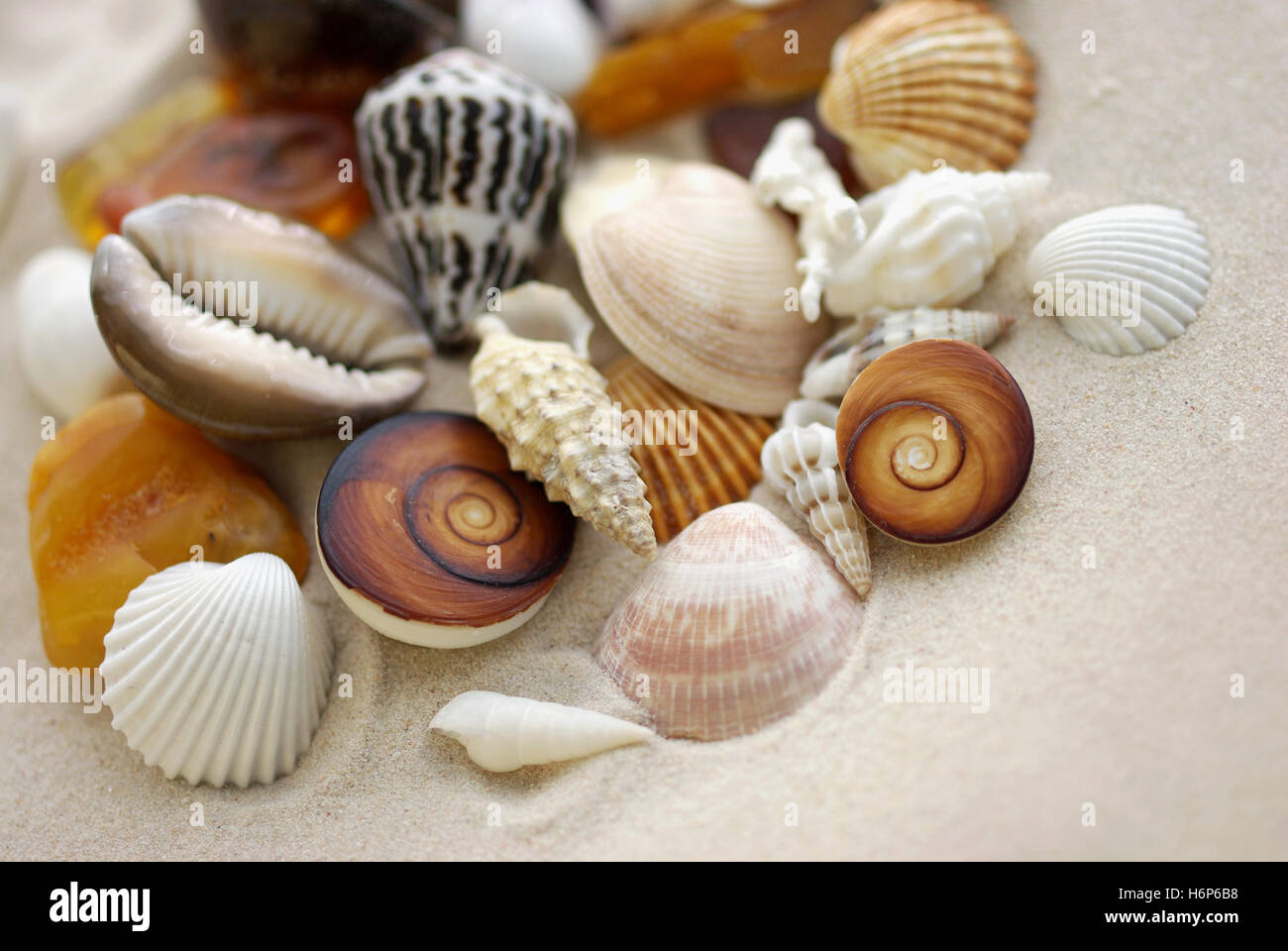 Animals and other shapes hi-res stock photography and images - Alamy