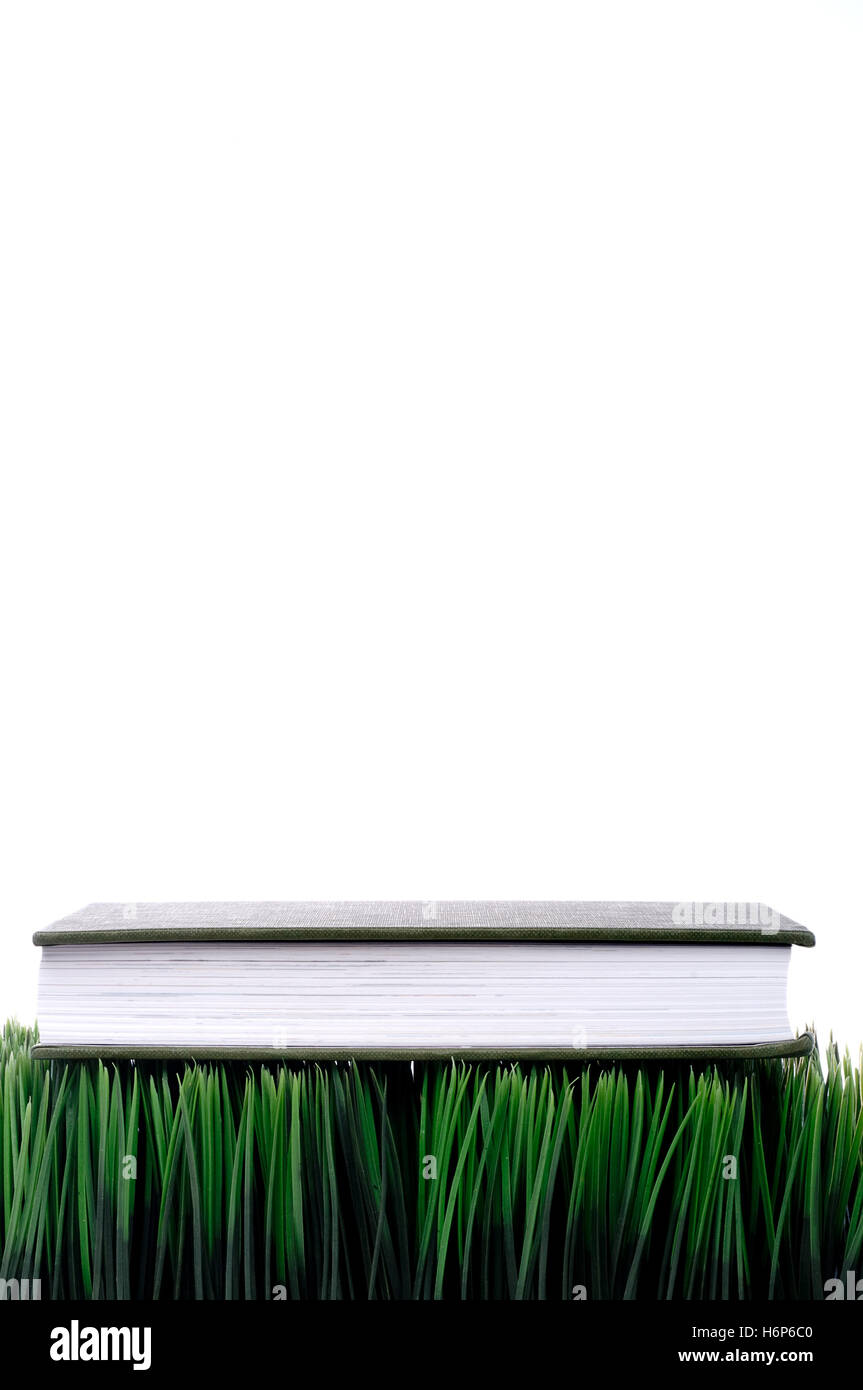 Other vertical hi-res stock photography and images - Alamy