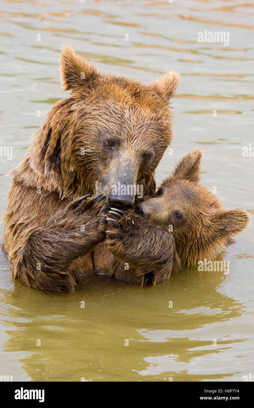 Quottwo hi-res stock photography and images - Alamy