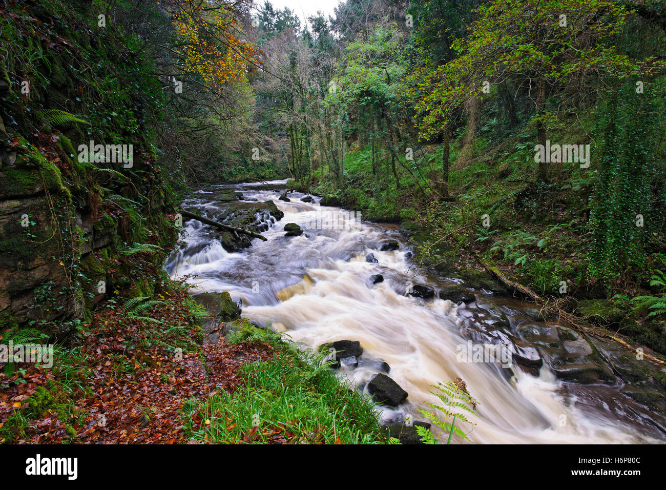 Irish rivers hi-res stock photography and images - Alamy