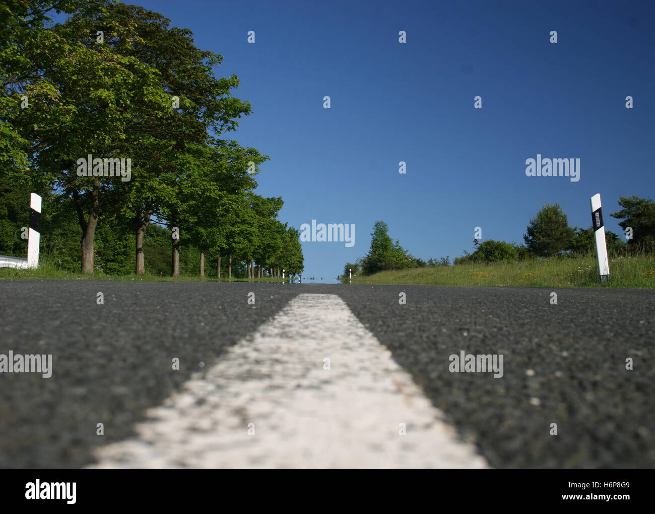Green median stripe hi-res stock photography and images - Alamy