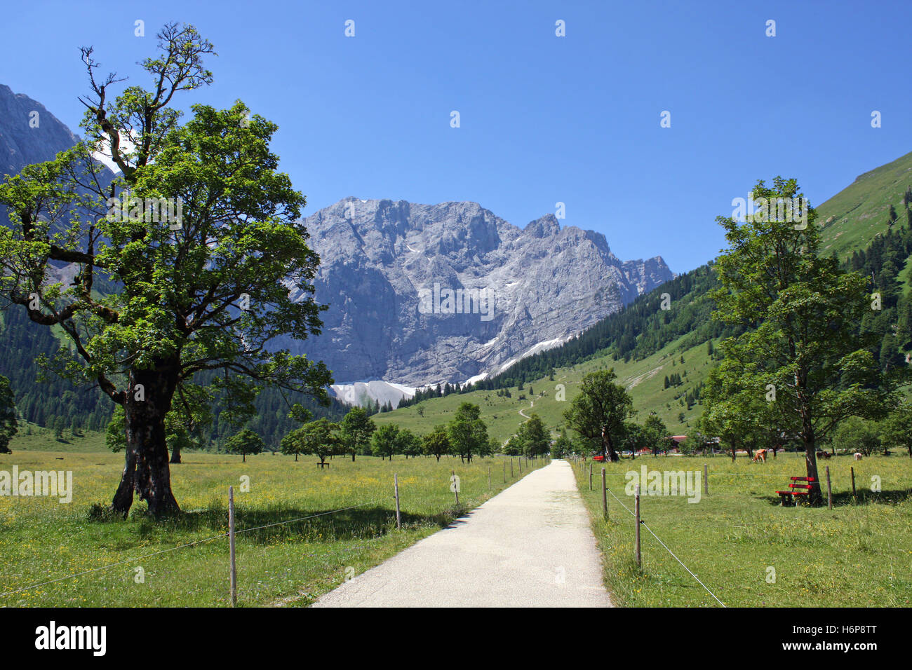 Austrians idyll tyrol tightly bucolic hi-res stock photography and ...