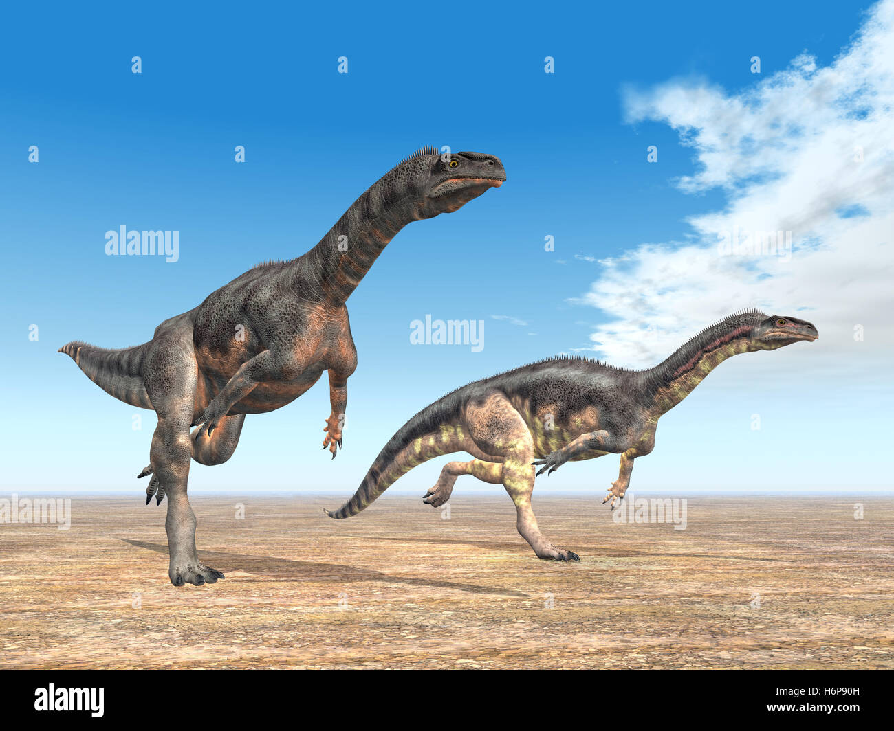 Primitive amphibians hi-res stock photography and images - Alamy