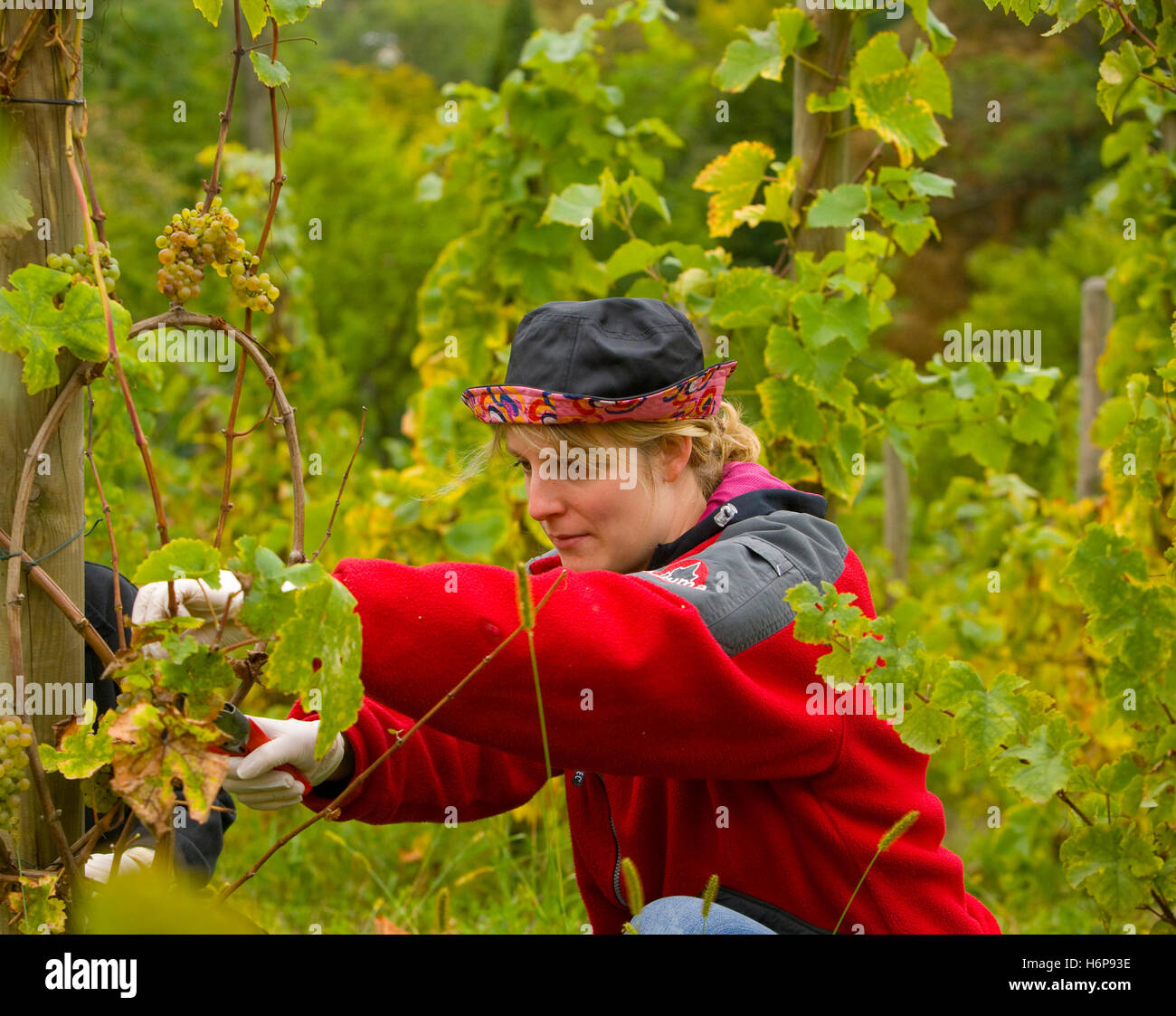 Agriculture farming farmer helper hi-res stock photography and images ...