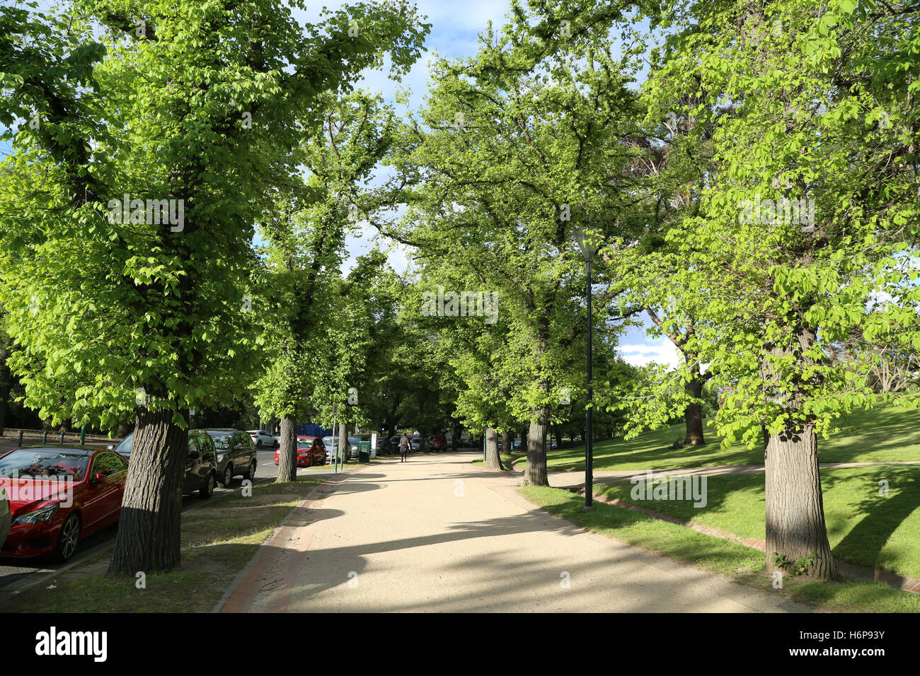 The tan track melbourne hi-res stock photography and images - Alamy