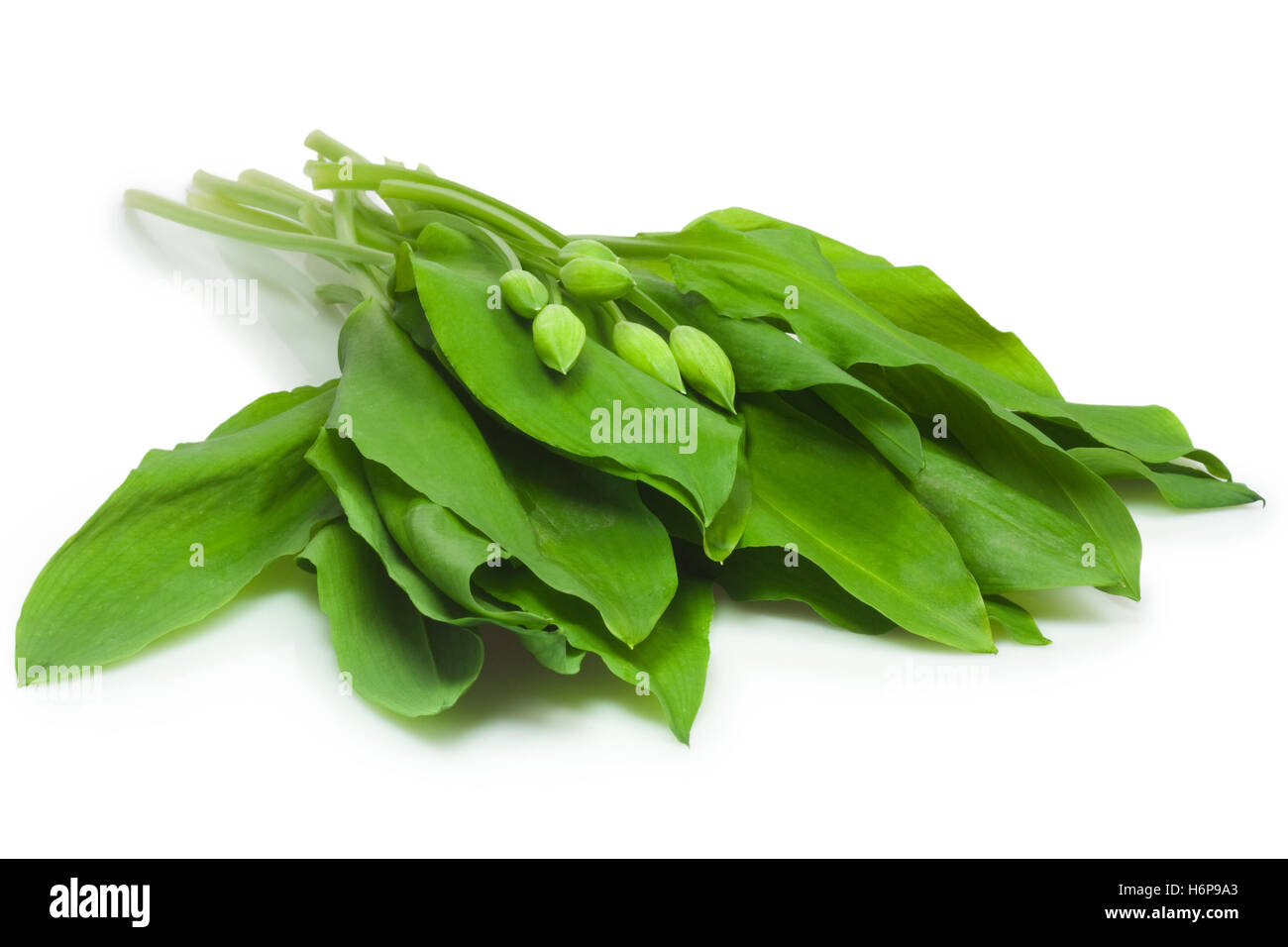 Pick your ingredients Cut Out Stock Images & Pictures - Alamy