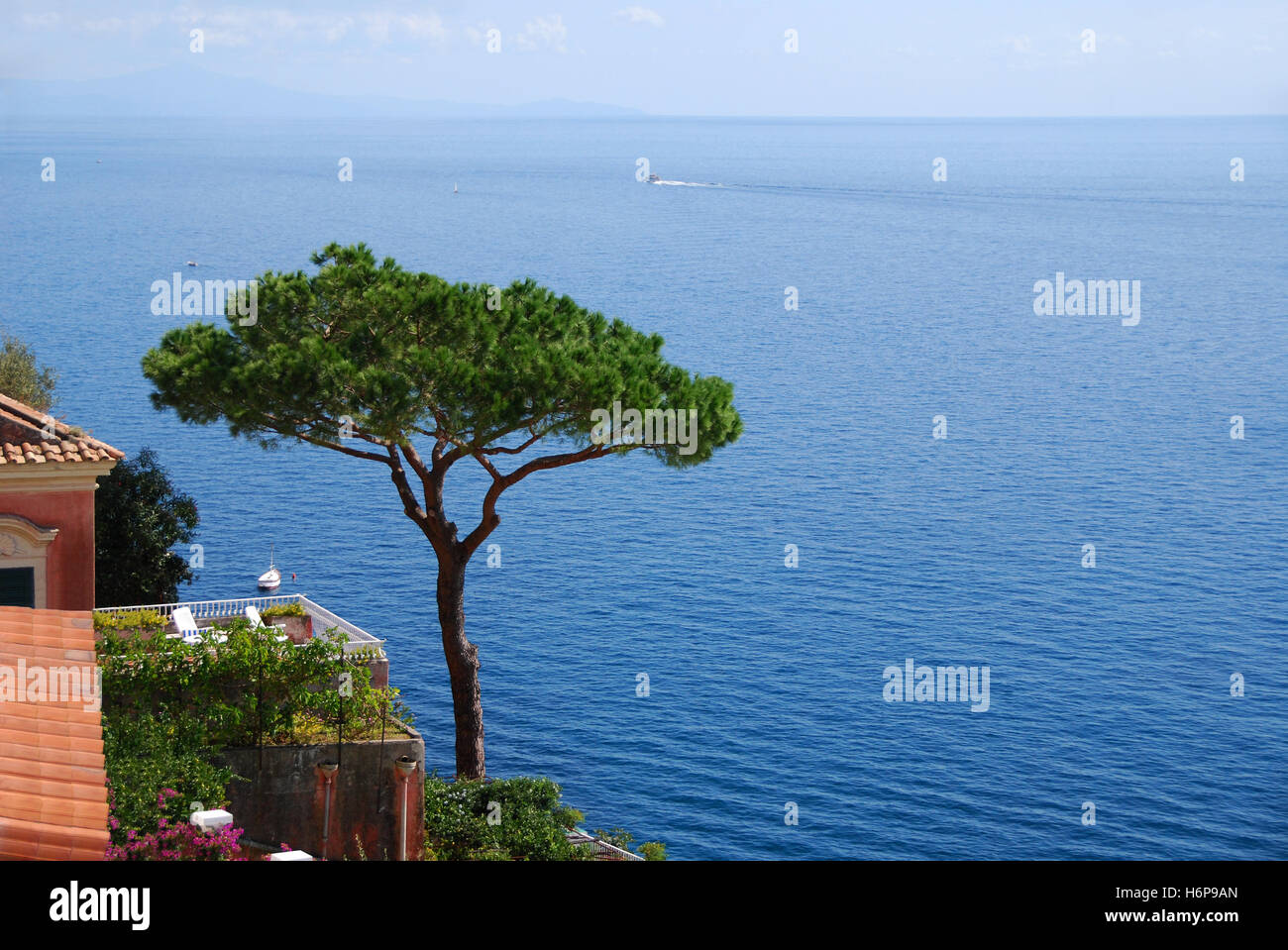 Tree terrace hi-res stock photography and images - Alamy