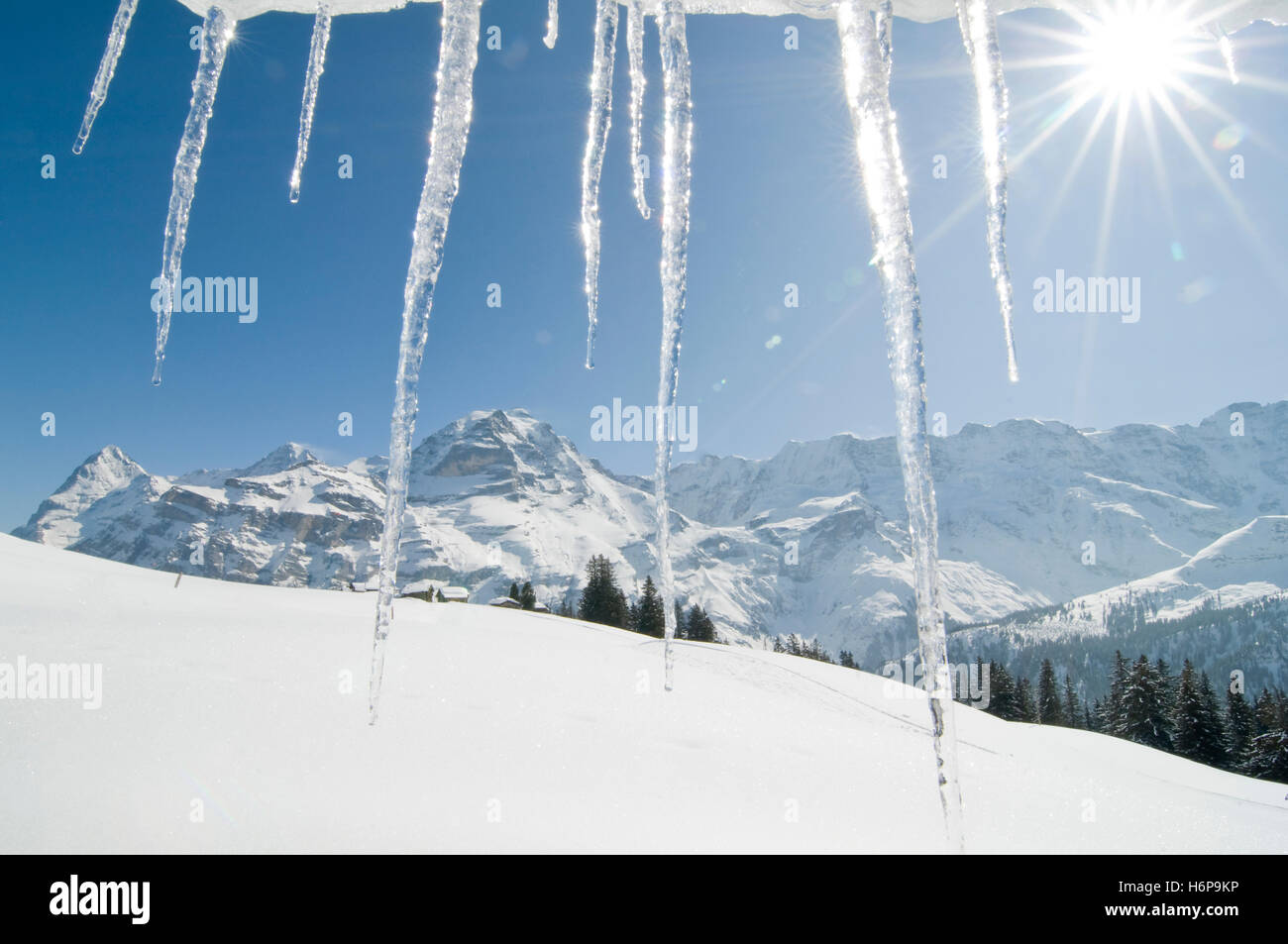 Murren hi-res stock photography and images - Alamy
