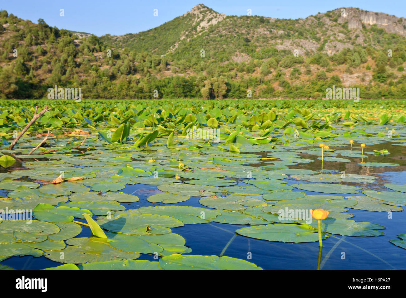 Nice landscapes hi-res stock photography and images - Alamy