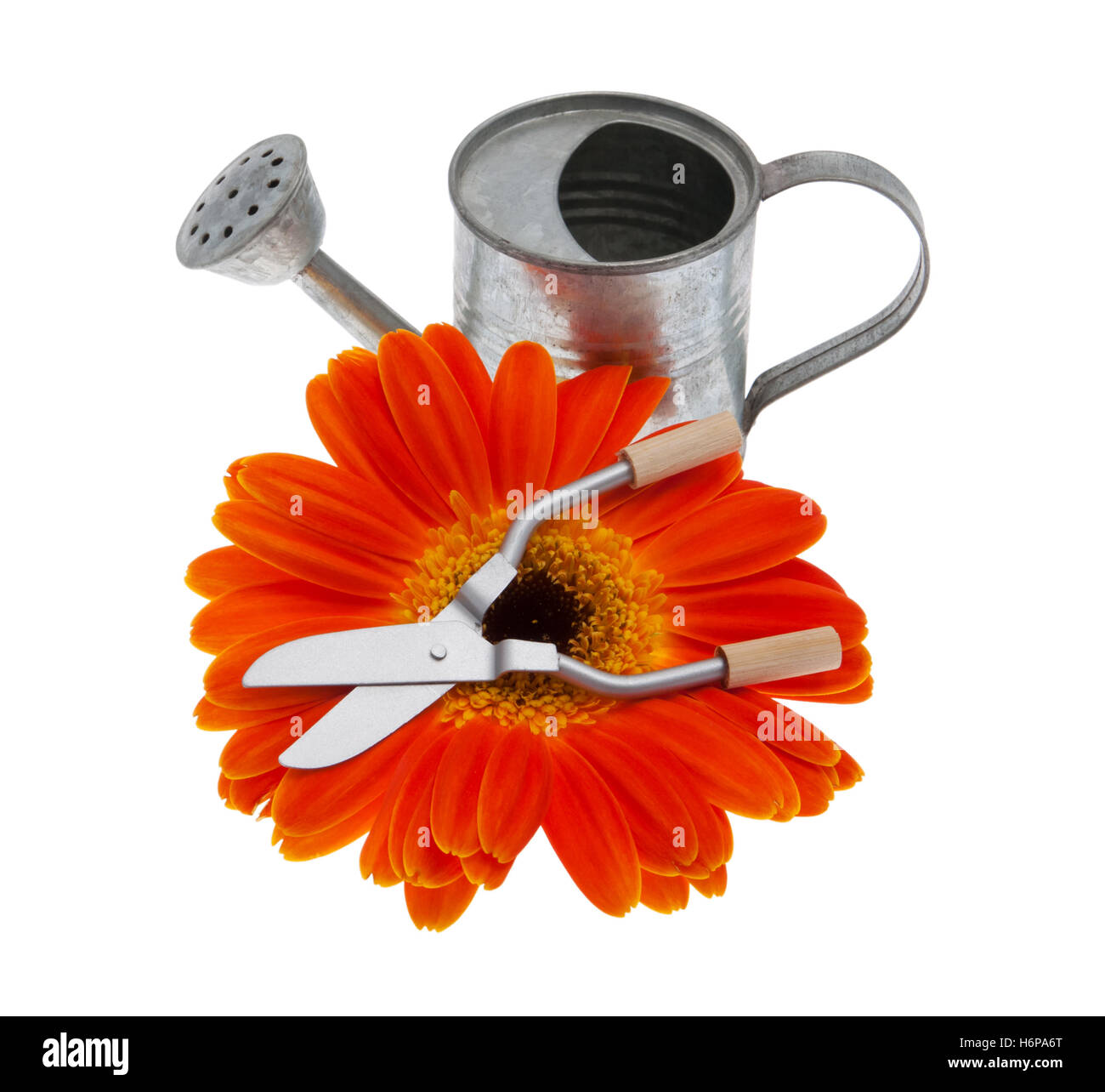 Flourishing flower hi-res stock photography and images - Alamy