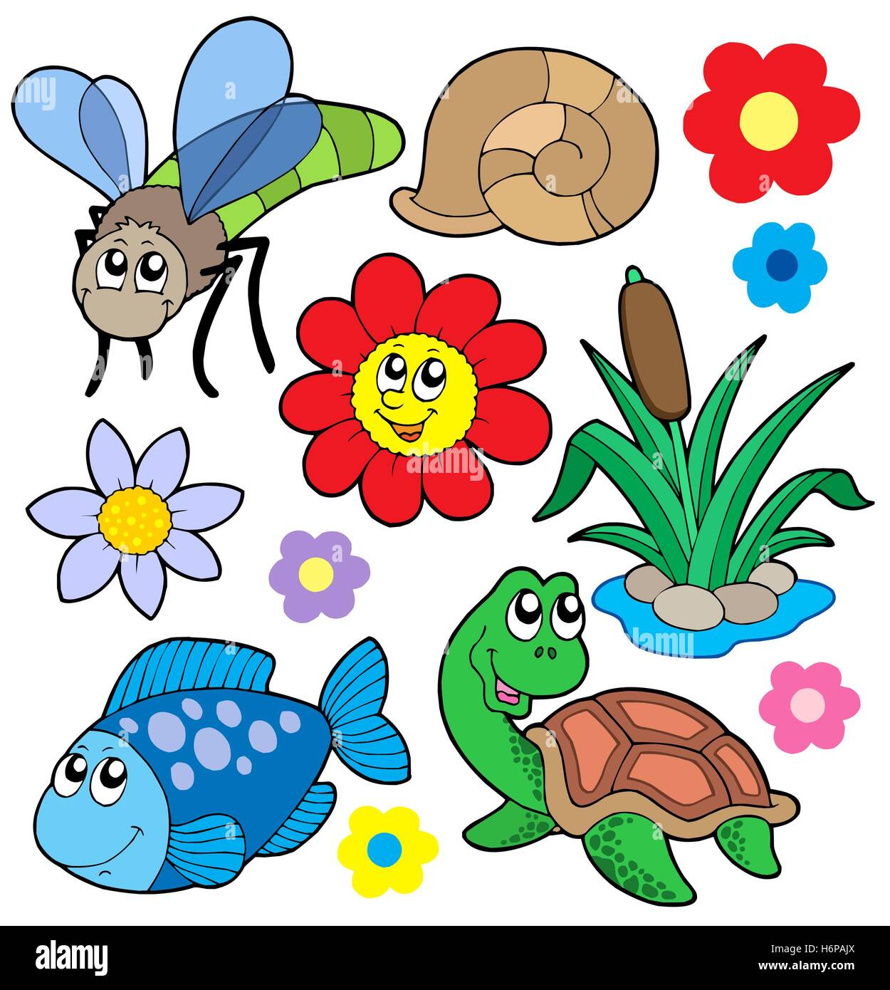 Turtle project Cut Out Stock Images & Pictures - Alamy