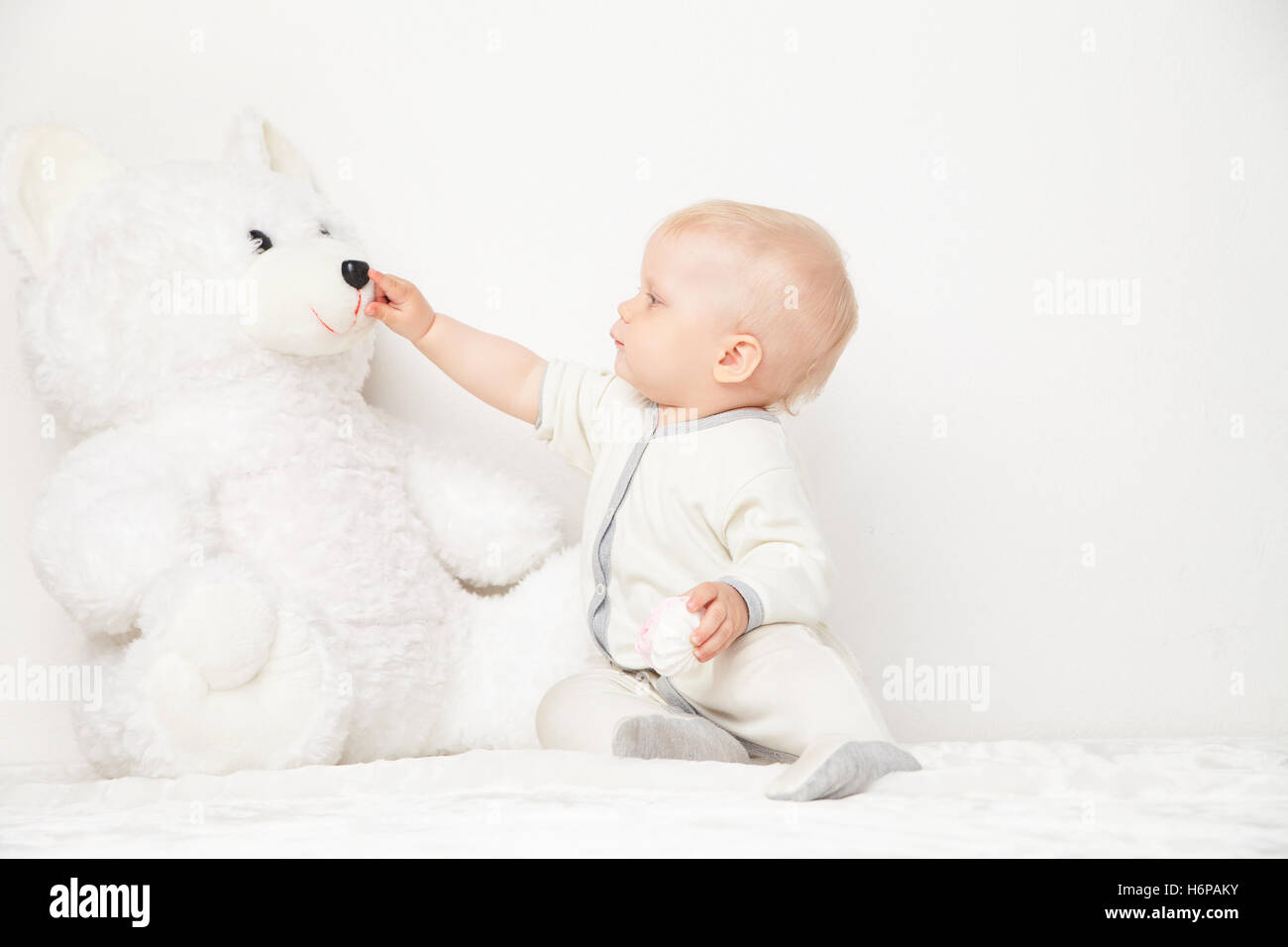 Small toddler in white suit touching teddy bear nose on white ...