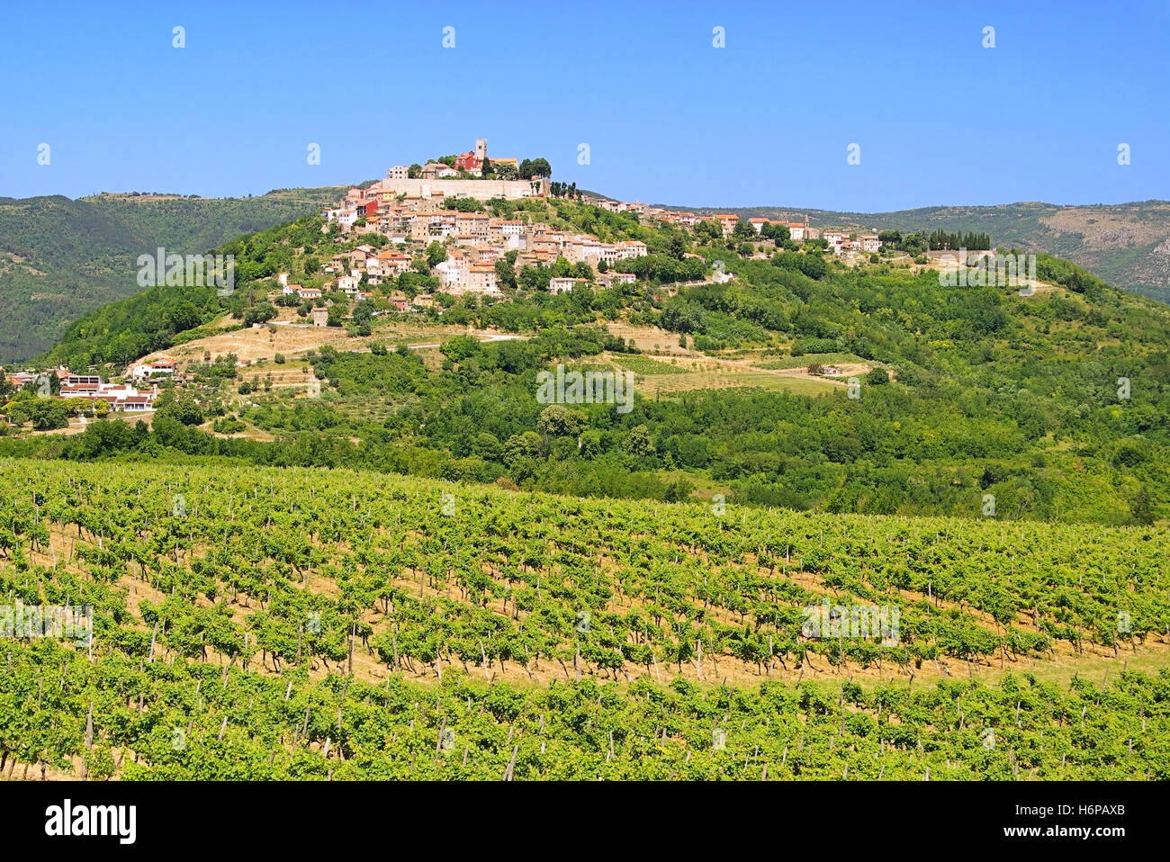 Motovun hill town hi-res stock photography and images - Alamy