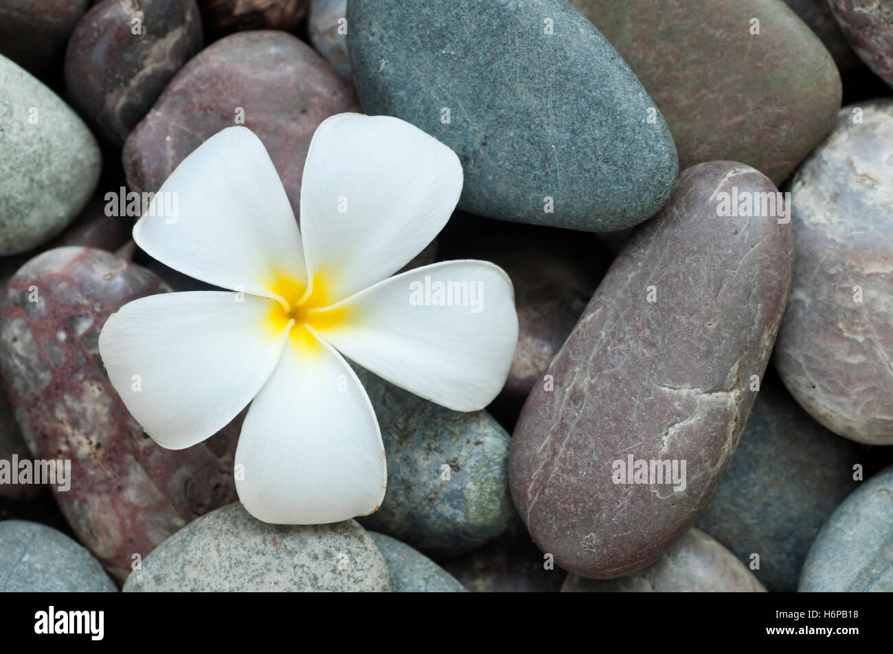 Environment stability hi-res stock photography and images - Alamy