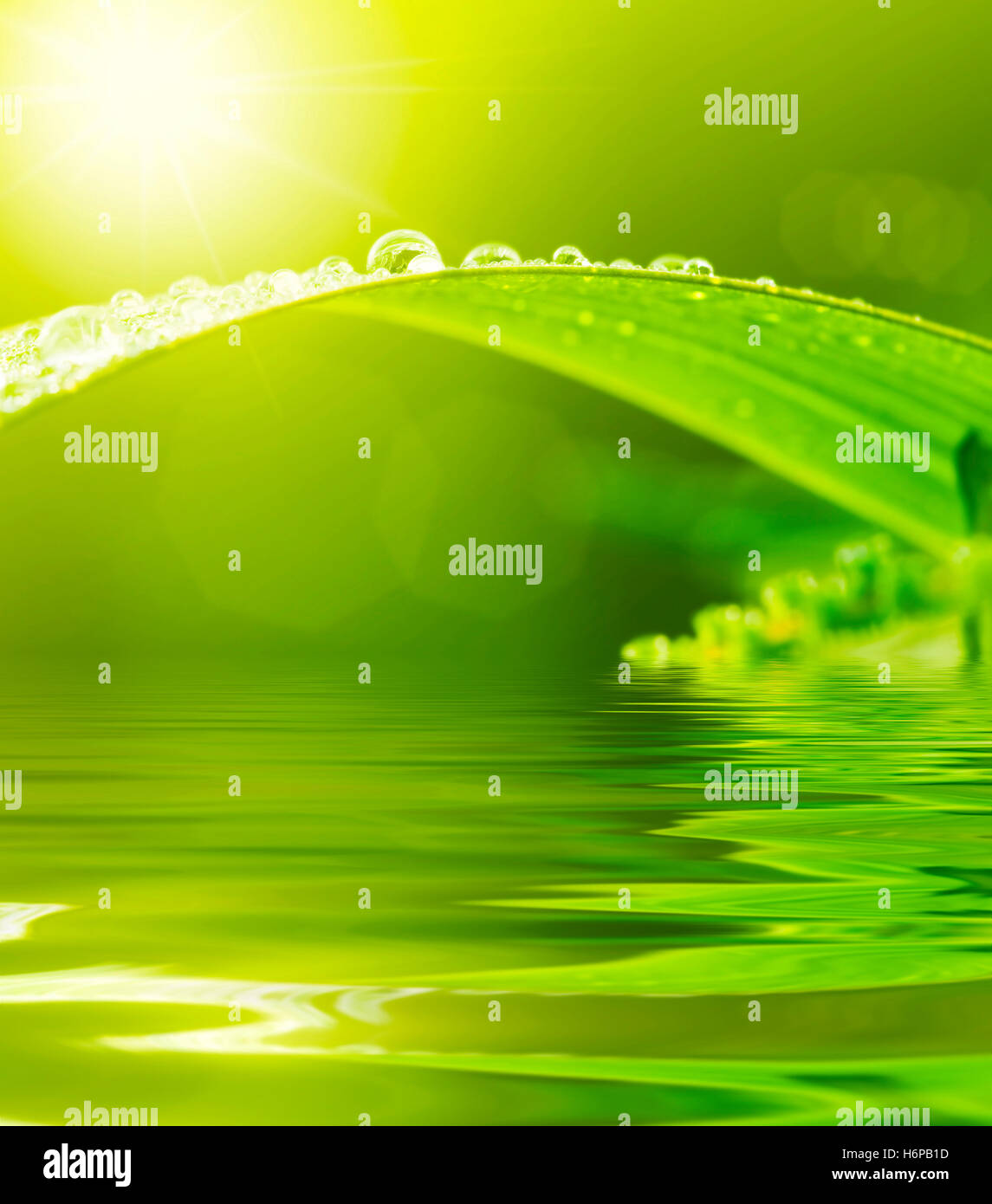 Raining flowers grass hi-res stock photography and images - Alamy