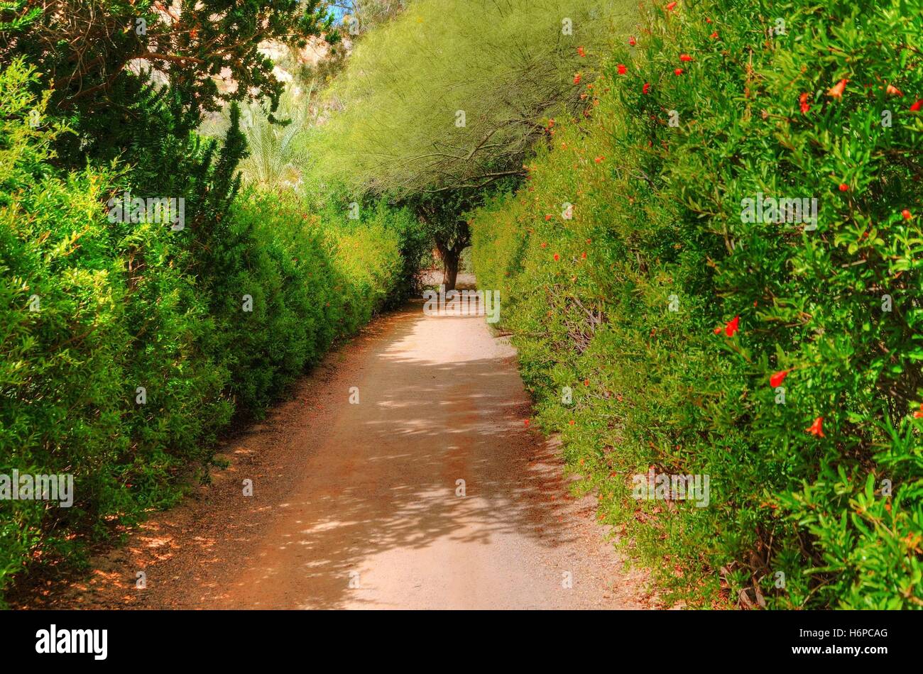 danger travel tree trees holiday vacation holidays vacations heaven ...