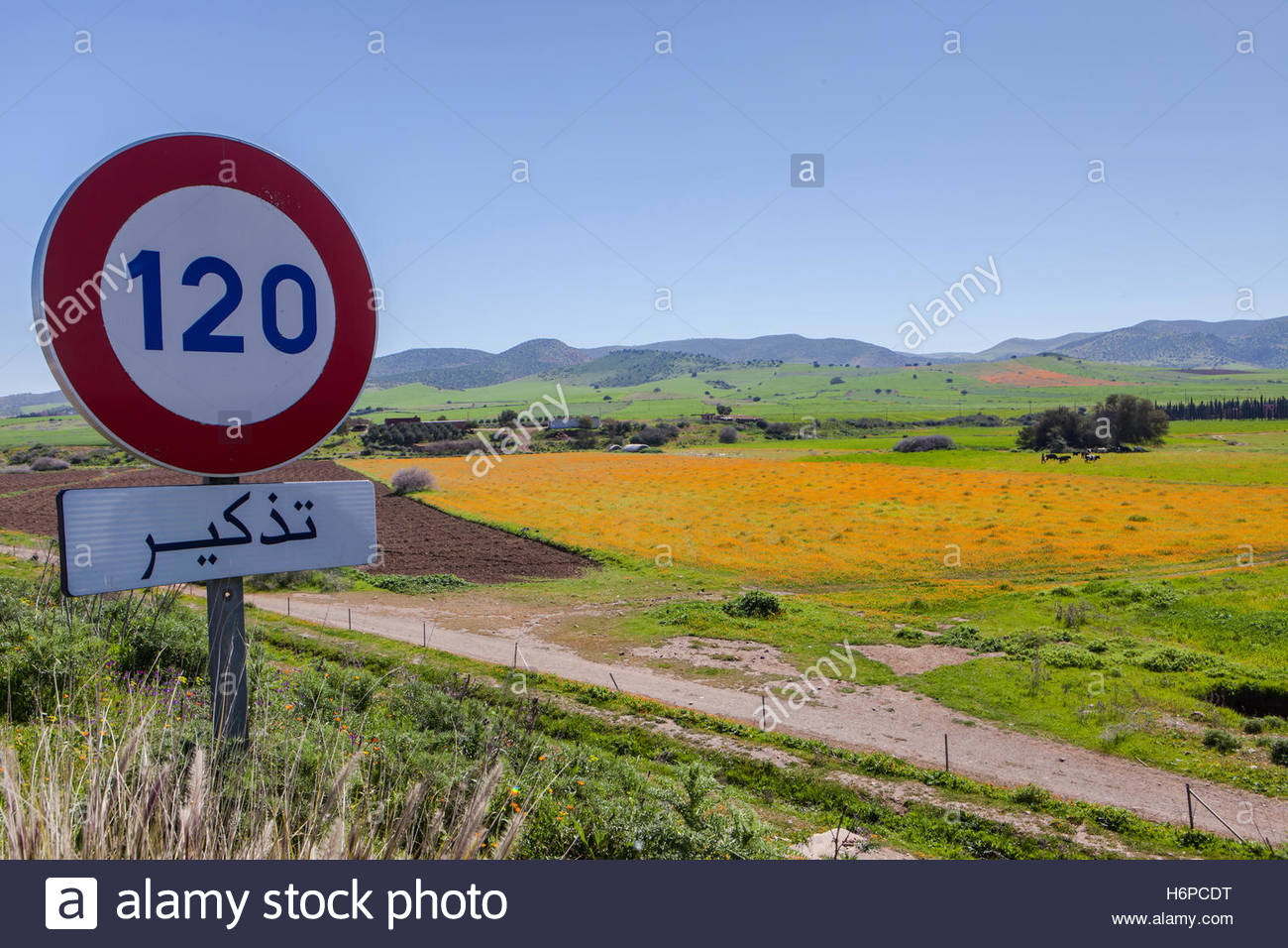 Speed Limit Road Sign Stock Photos & Speed Limit Road Sign Stock Images ...