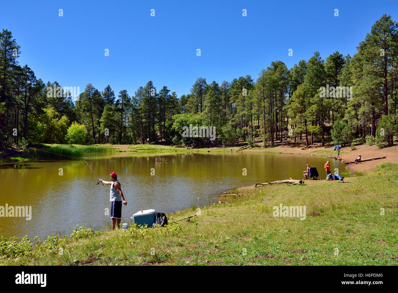 Fishing in Arizona Mingus lake, in recreation area Stock Photo - Alamy