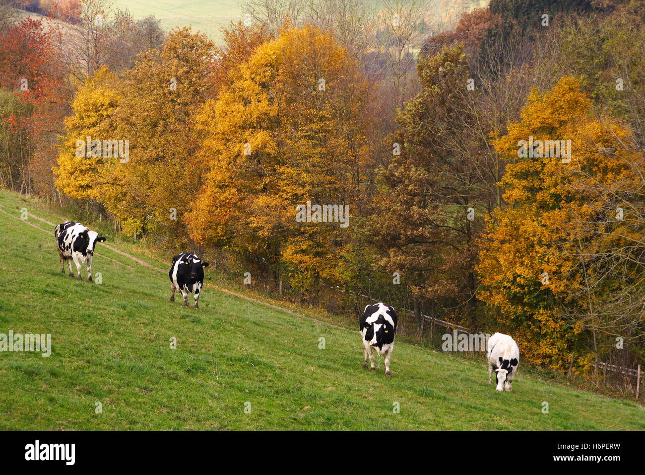 Four landscapes hi-res stock photography and images - Alamy