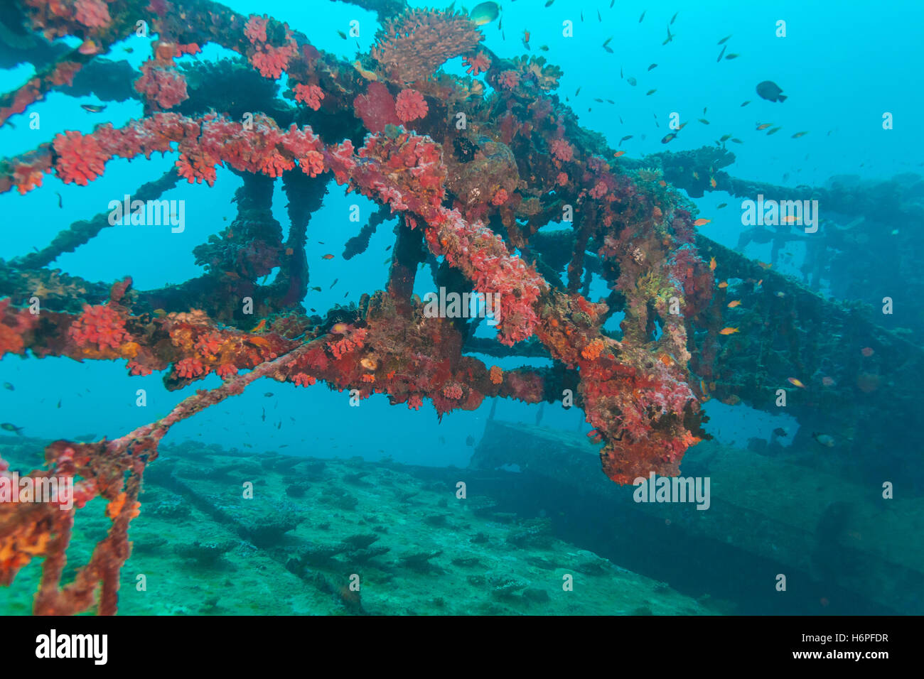 Remaining of cargo ship on ocean bottom, Maldives Stock Photo - Alamy