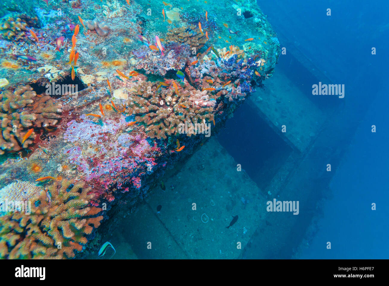 Remaining of cargo ship on ocean bottom, Maldives Stock Photo - Alamy