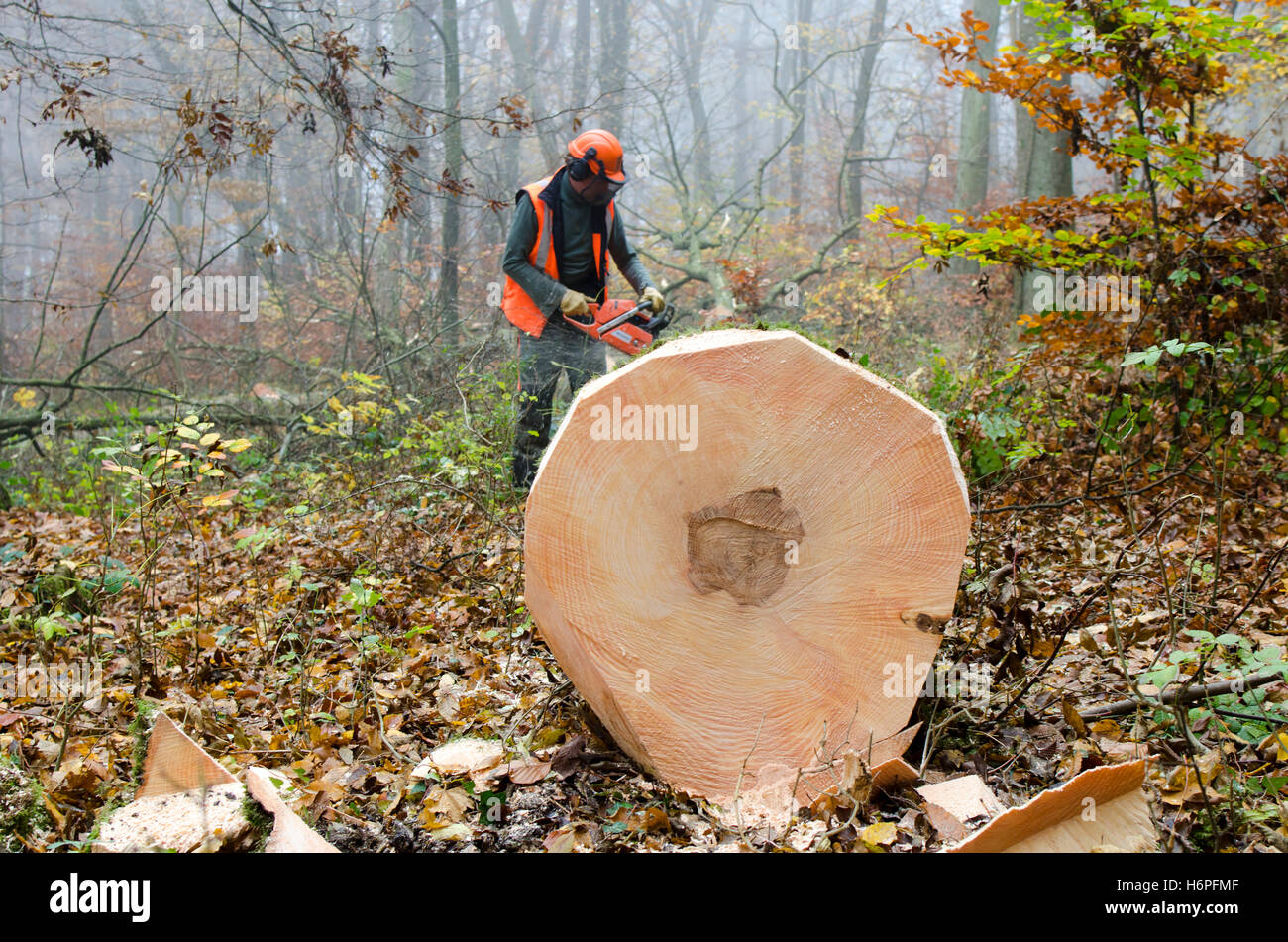 Tree wise men hi-res stock photography and images - Alamy