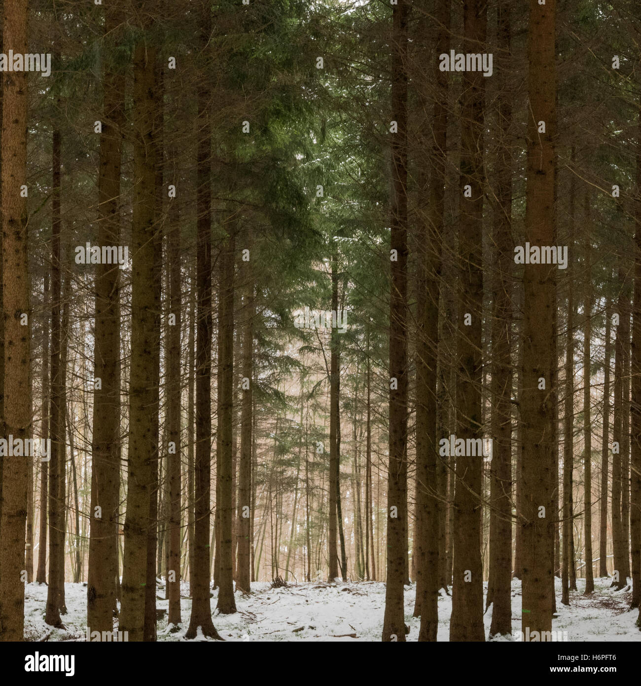Standing too close hi-res stock photography and images - Alamy