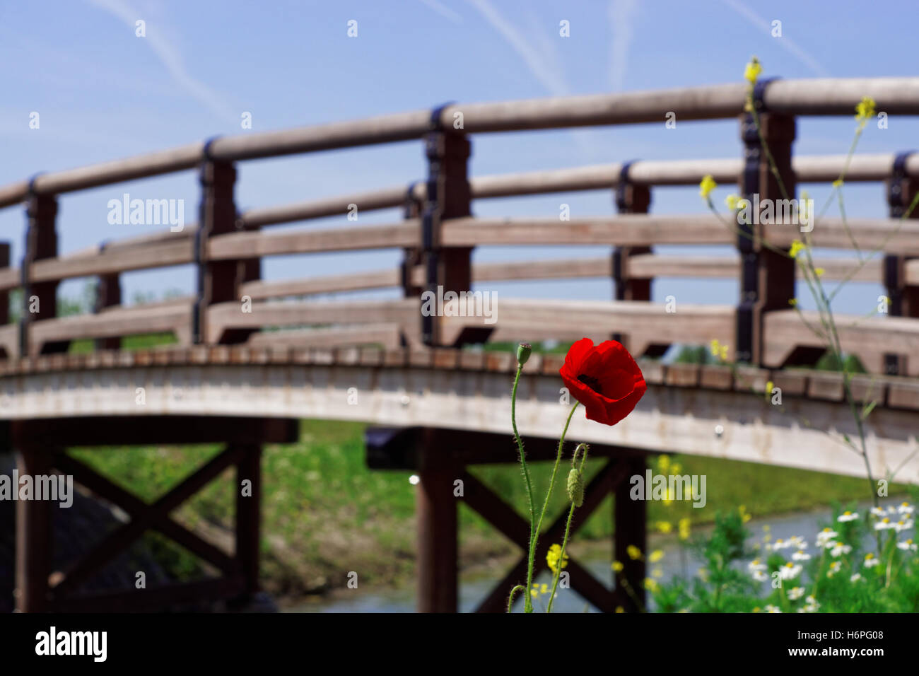 Red bridge in a park hi-res stock photography and images - Alamy