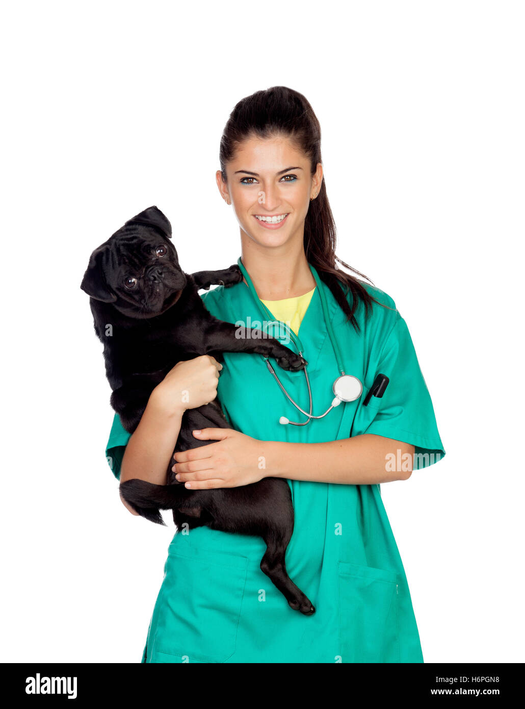 Brunette vet with a pug dog isolated on white background Stock Photo ...