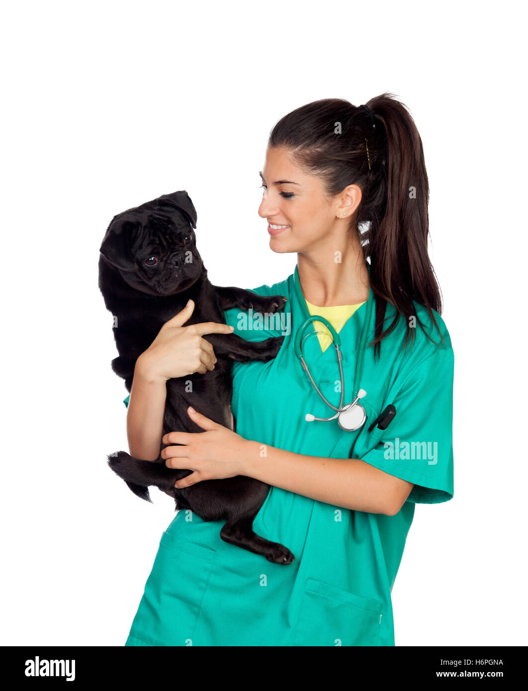 Brunette vet with a pug dog isolated on white background Stock Photo ...