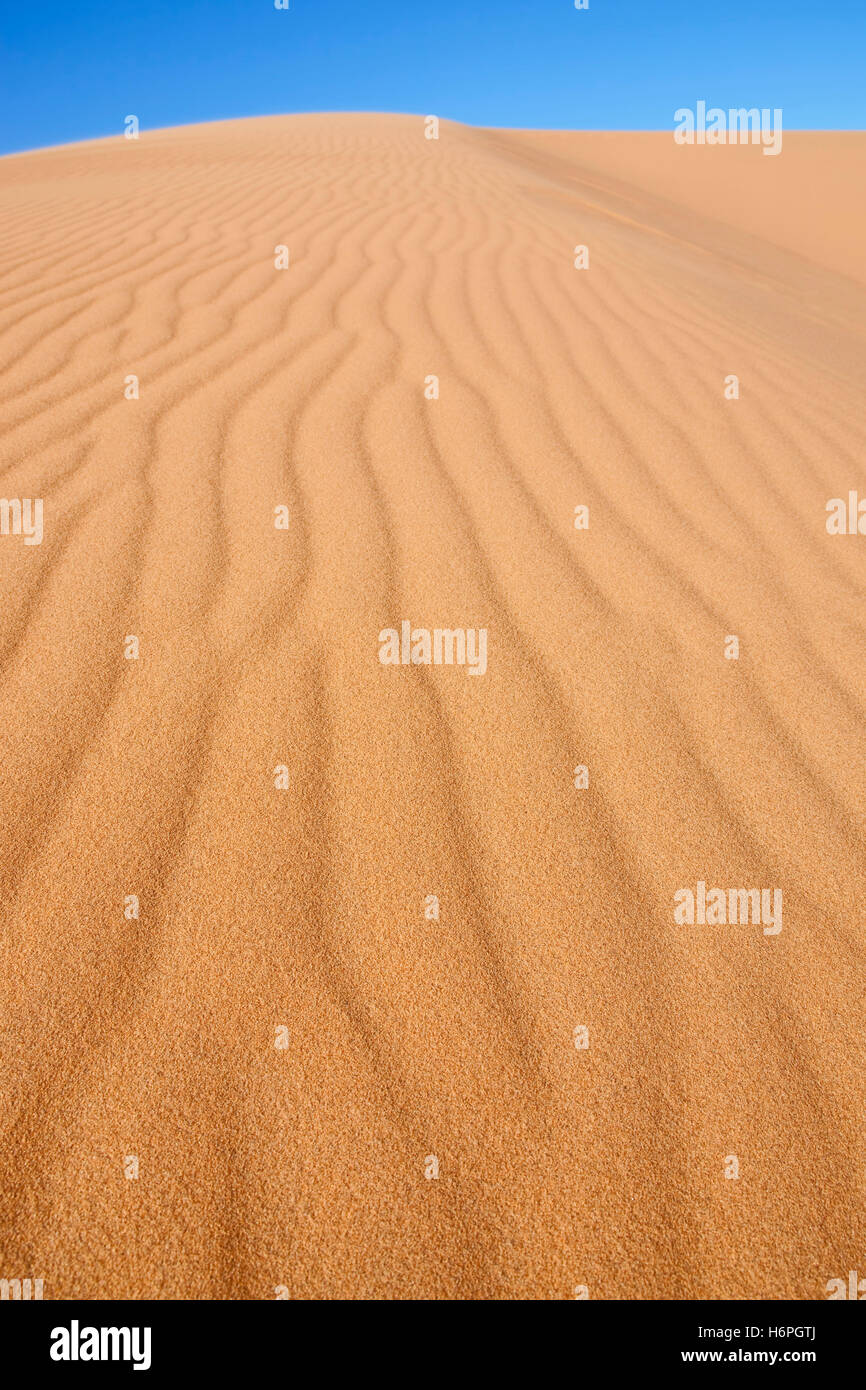 Sandy deserts hi-res stock photography and images - Alamy