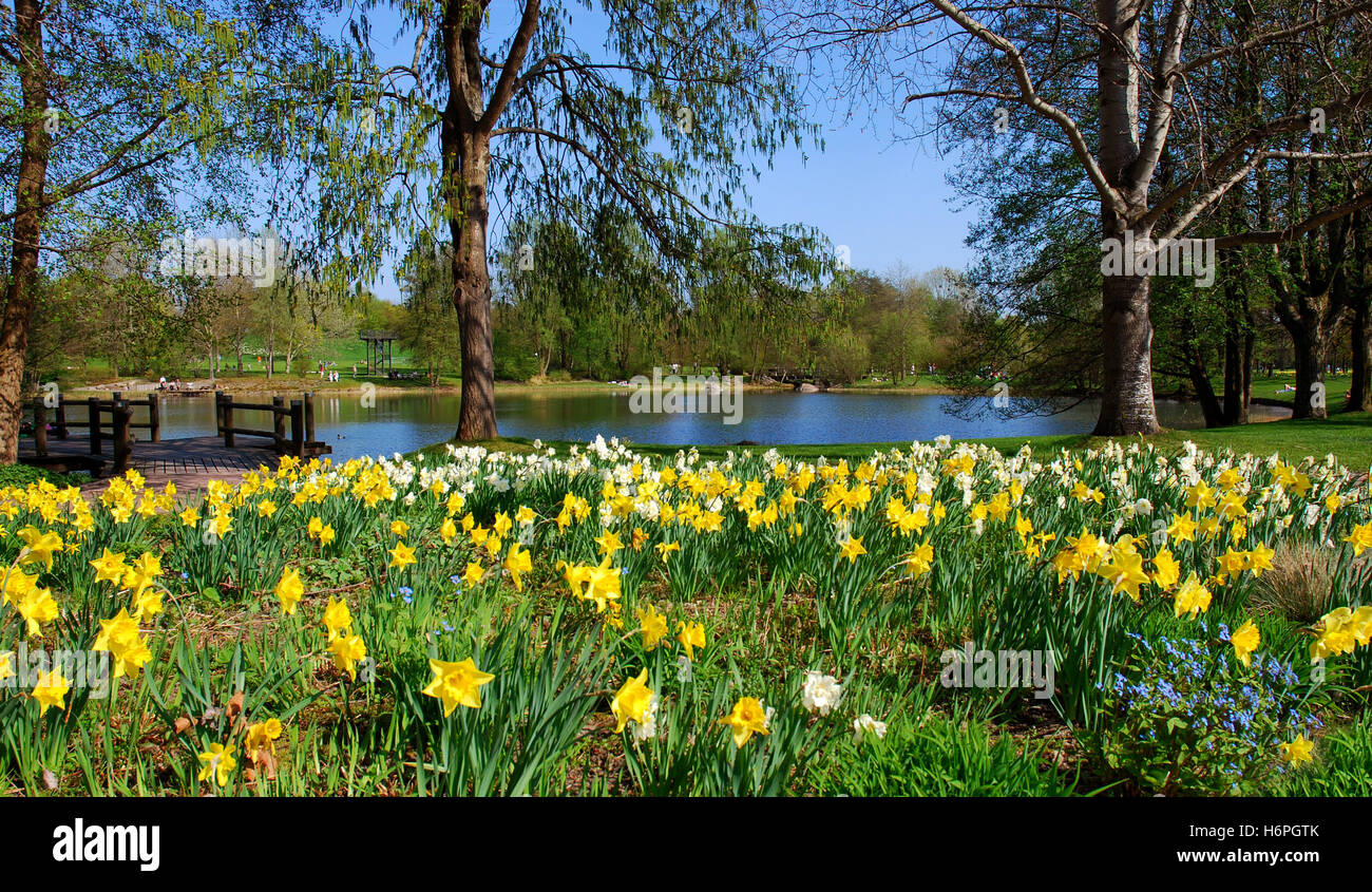 spring in the park Stock Photo - Alamy