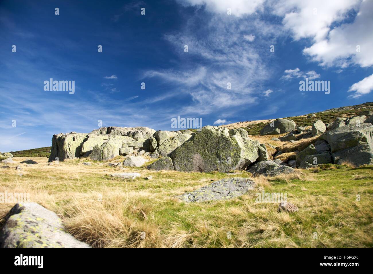 Lawn landscapes hi-res stock photography and images - Alamy