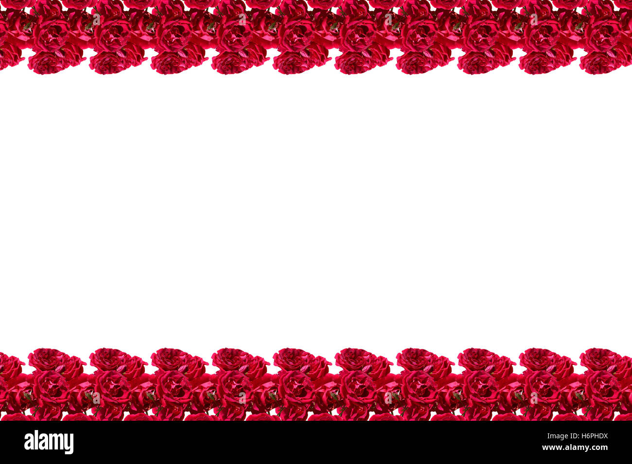 Isolated Red Roses Frame for background or wallpaper Stock Photo - Alamy